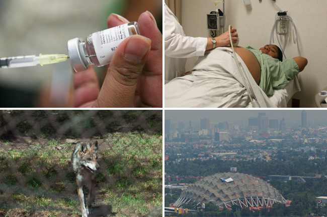 Los 8 Objetivos del Milenio en los que México está estancado