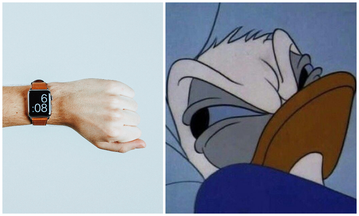 ¿Despertaste devastada y confundida? No estás sola: *los memes del ...