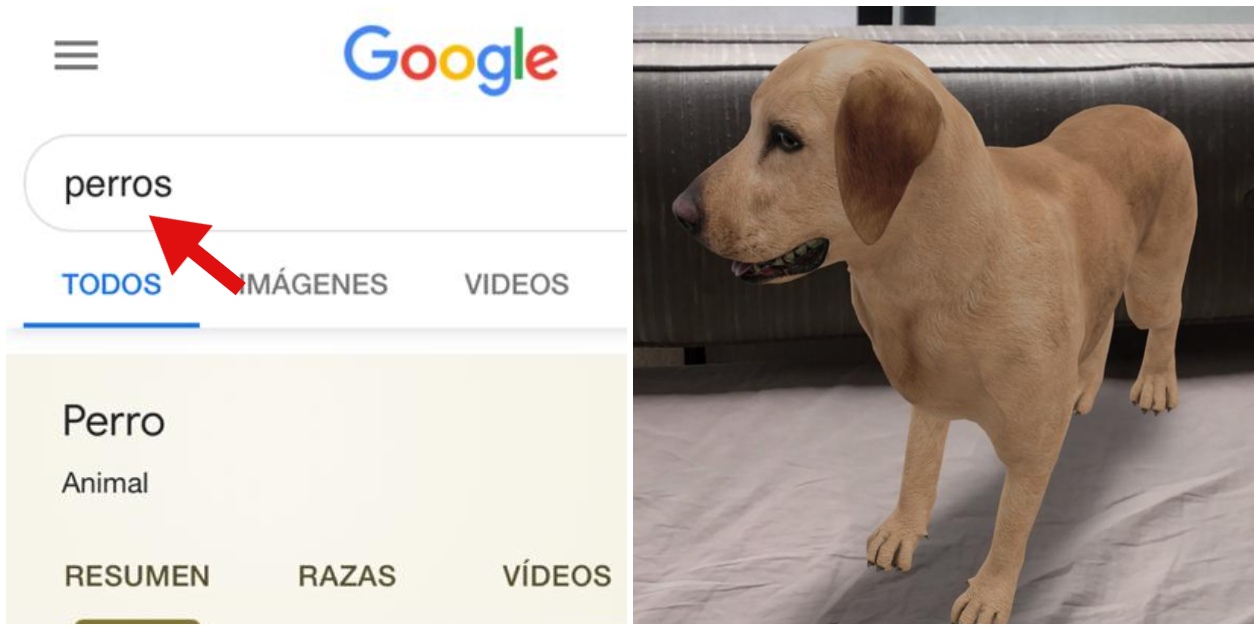 Así puedes ver *los animales en 3D desde el buscador de Google* y tener ...