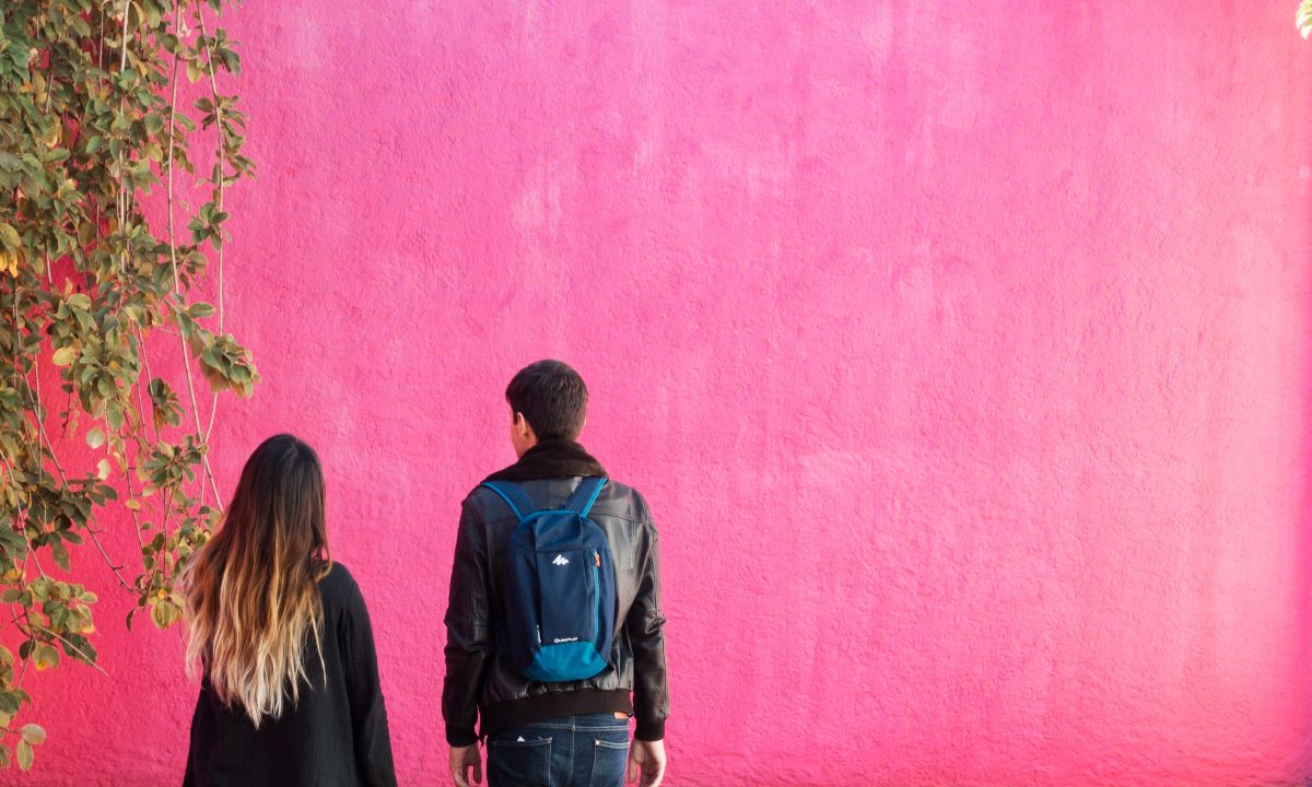 *La curiosa historia del ‘rosa mexicano’*: cuál es su origen y quién lo ...