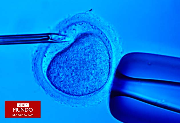 Ya han nacido cinco millones de “bebés probeta”