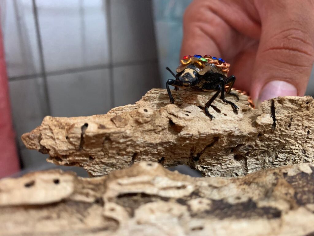 Maquech’, el príncipe maya* que usan como joya en Yucatán