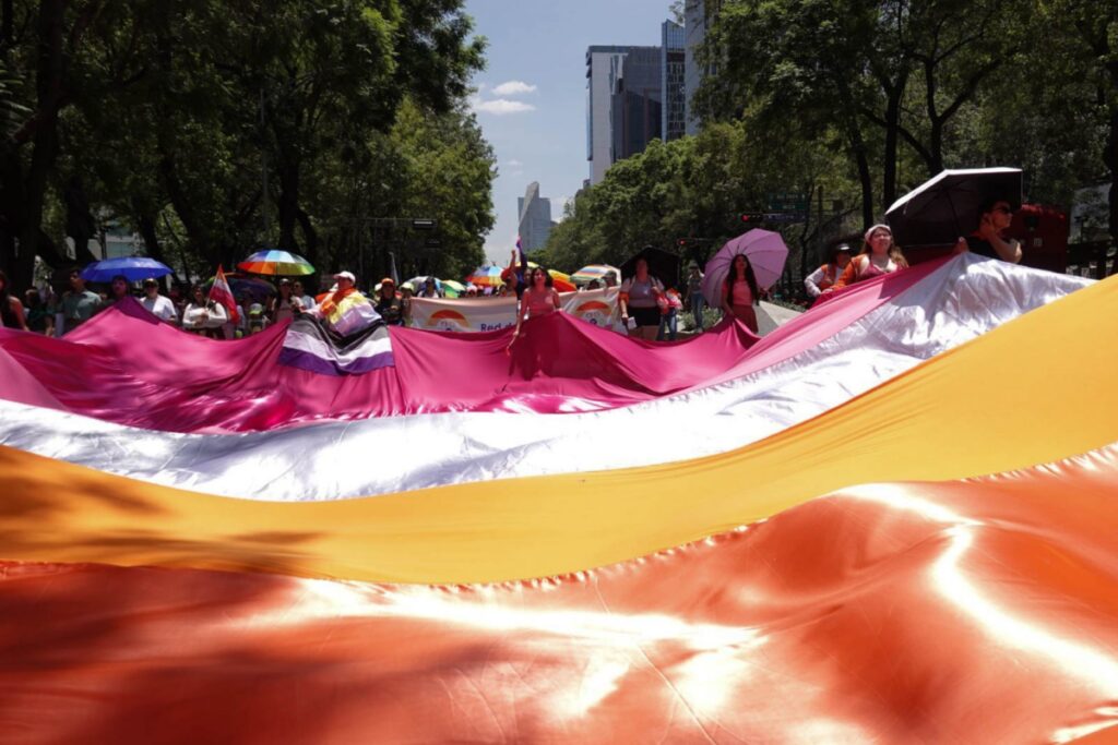 Marcha lencha 2023: lesbianas se manifiestan por visibilización de las ...