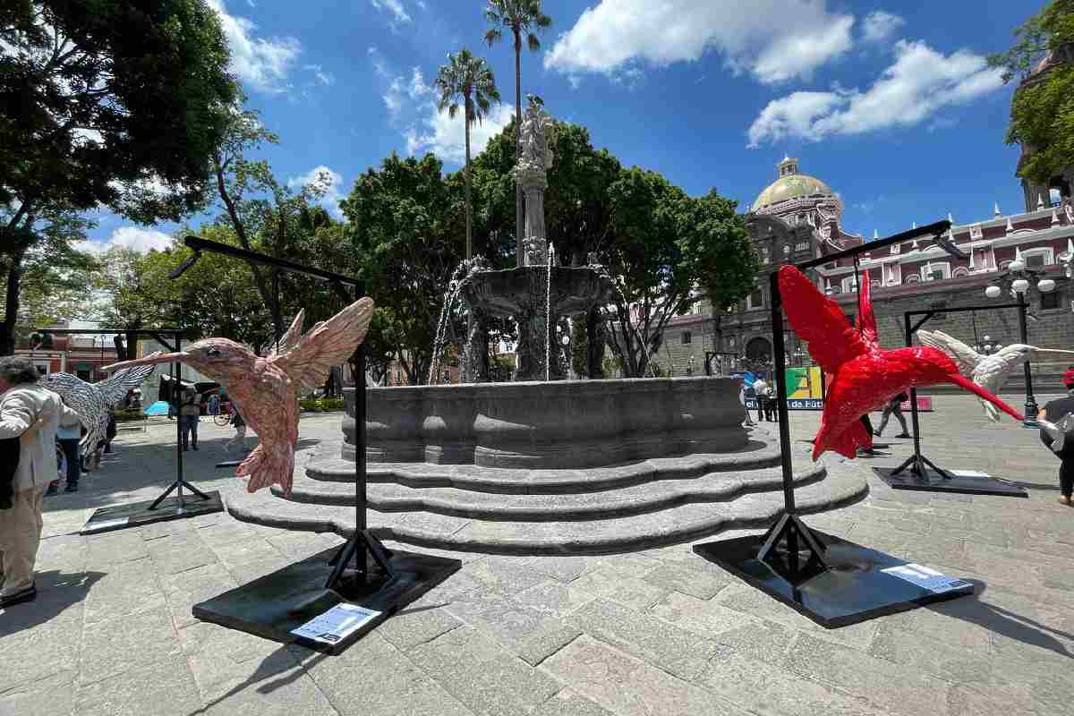 Ayuntamiento de Puebla organiza exhibición en beneficio de Vifac ...