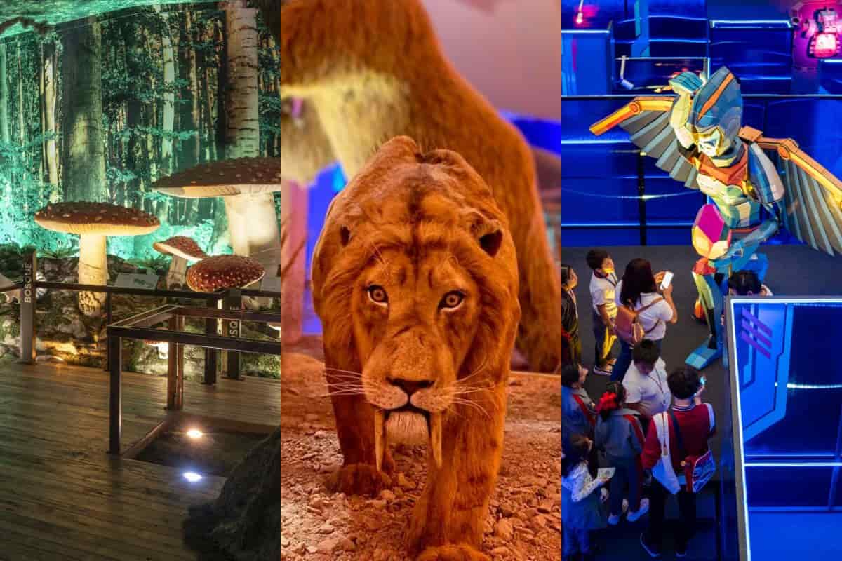 12 Museos Para Ir Con Niños En Cdmx Y Divertirse En Familia