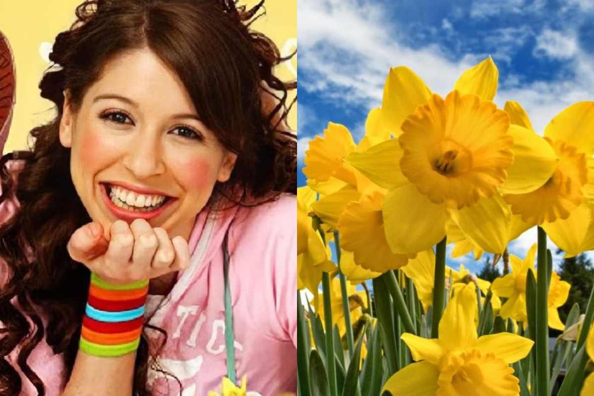 La razón por la que ‘Floricienta’ nos inspiró a regalar flores ...