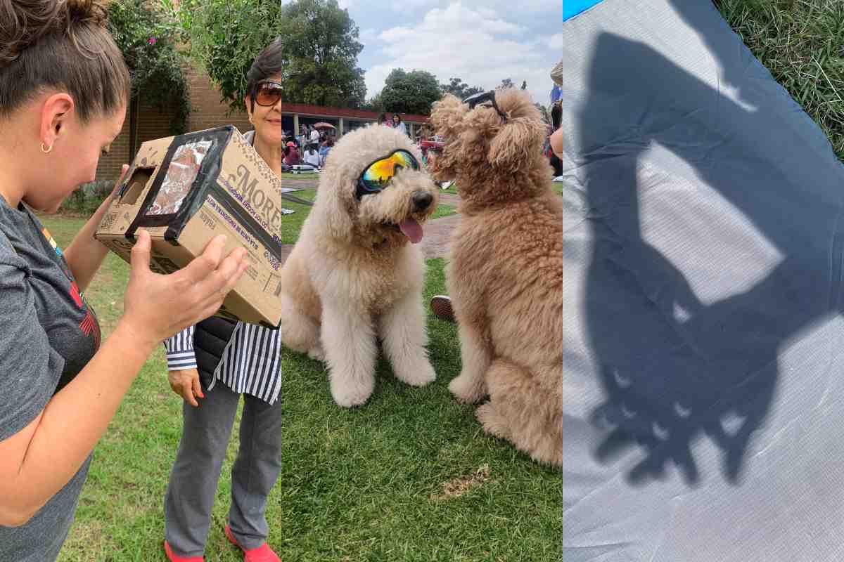 Visores, filtros y telescopios: así vieron el eclipse solar en las ...