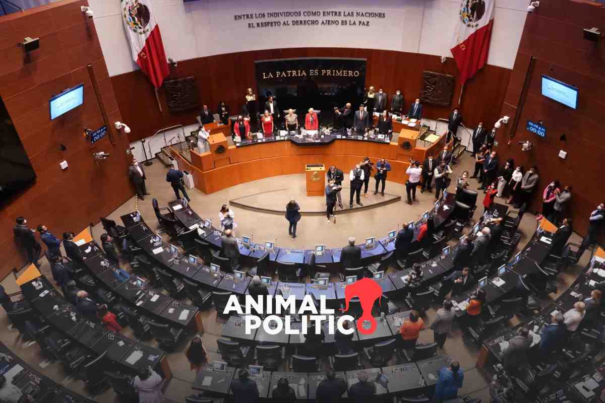 Ley Silla: Avanza iniciativa para que empleadores provean de asientos a ...