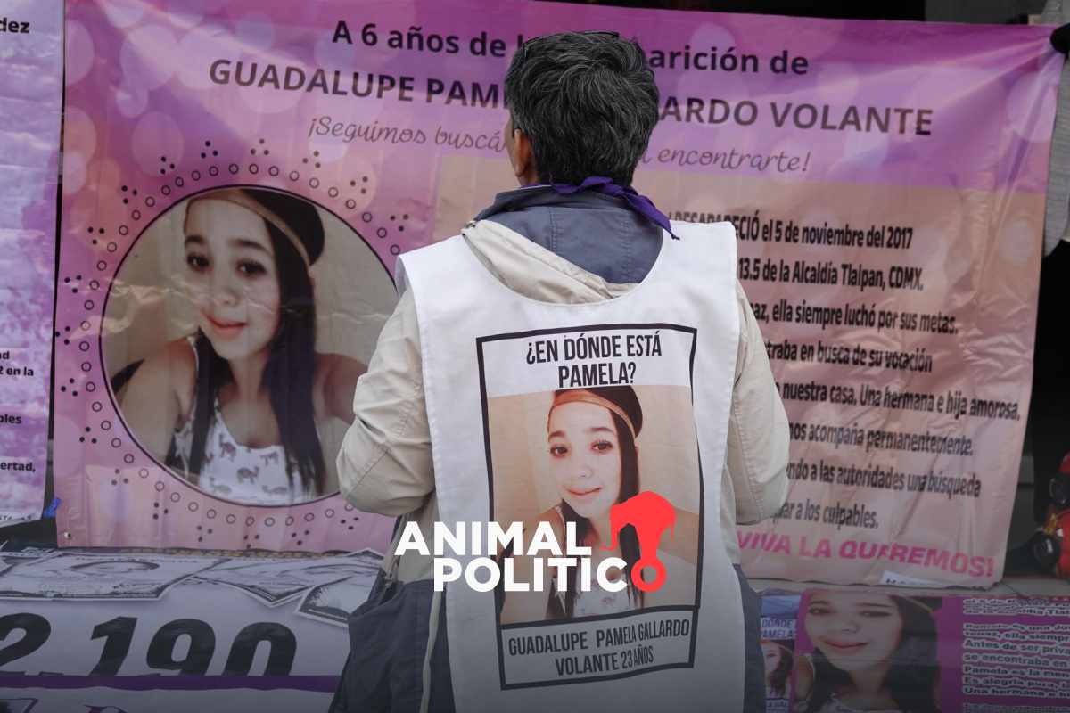 A 6 años de la desaparición de Pamela Gallardo, familia denuncia a ...