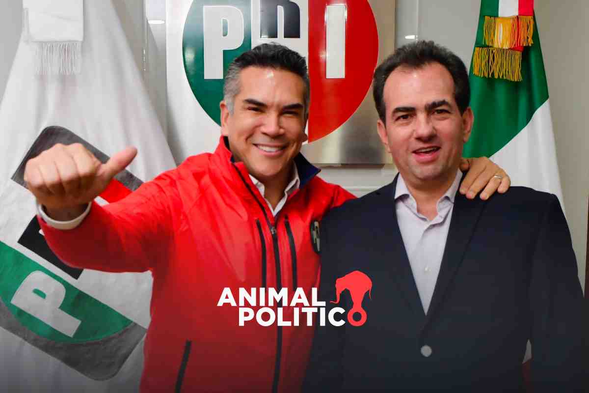 Pri Propone A Pepe Yunes Para Que Encabece Por El Tricolor La Coalición