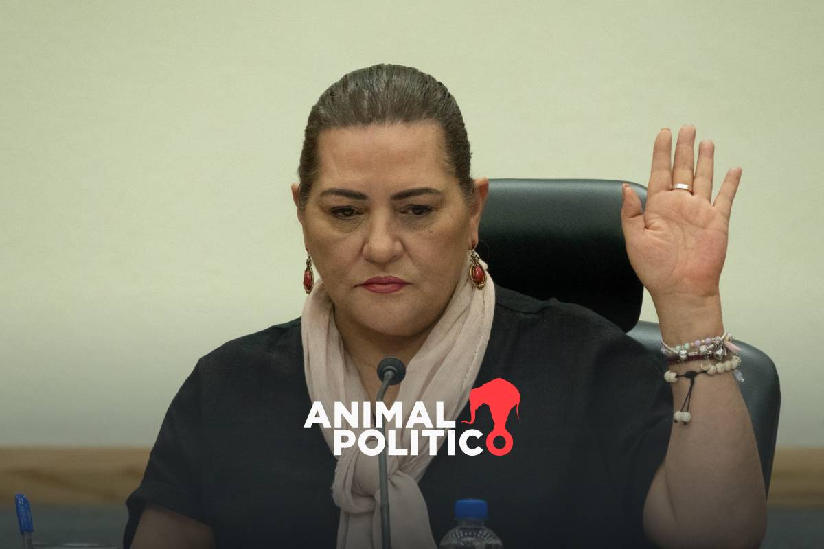 Taddei pide a Cámara de Diputados “no poner en riesgo” las elecciones ...