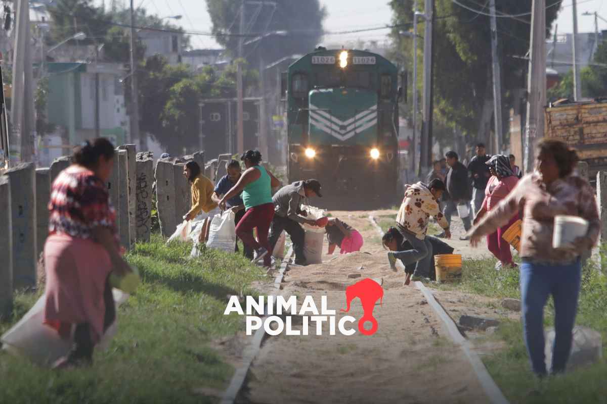 AMLO publica decreto para reactivar trenes de pasajeros en 7 rutas