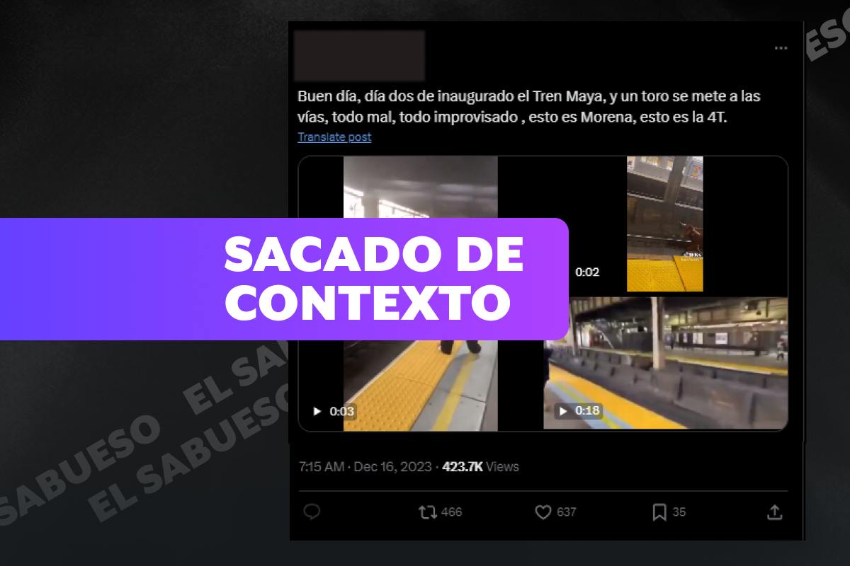 ¿Un toro en las vías? Sí, pero no ocurrió en el Tren Maya de México