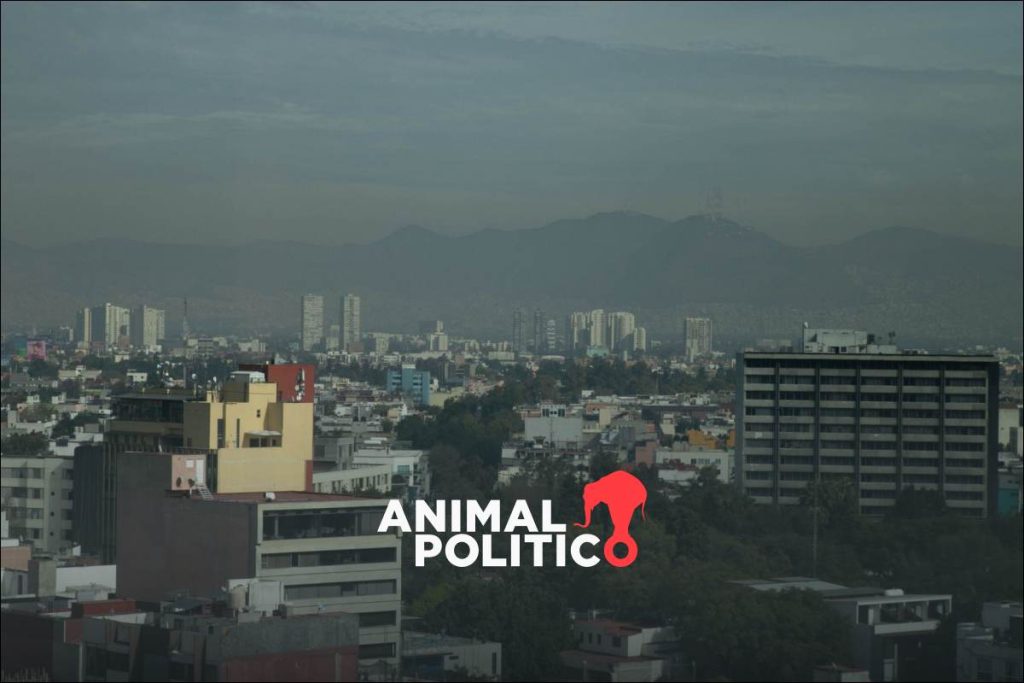 Castigar Corrupción Inmobiliaria Con 20 Años De Prisión En Cdmx Estos