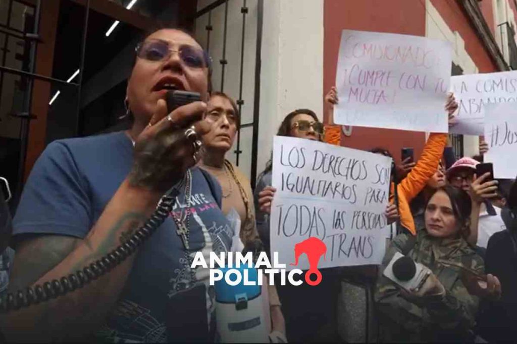La activista Kenya Cuevas presentará queja en Conapred contra AMLO por ...