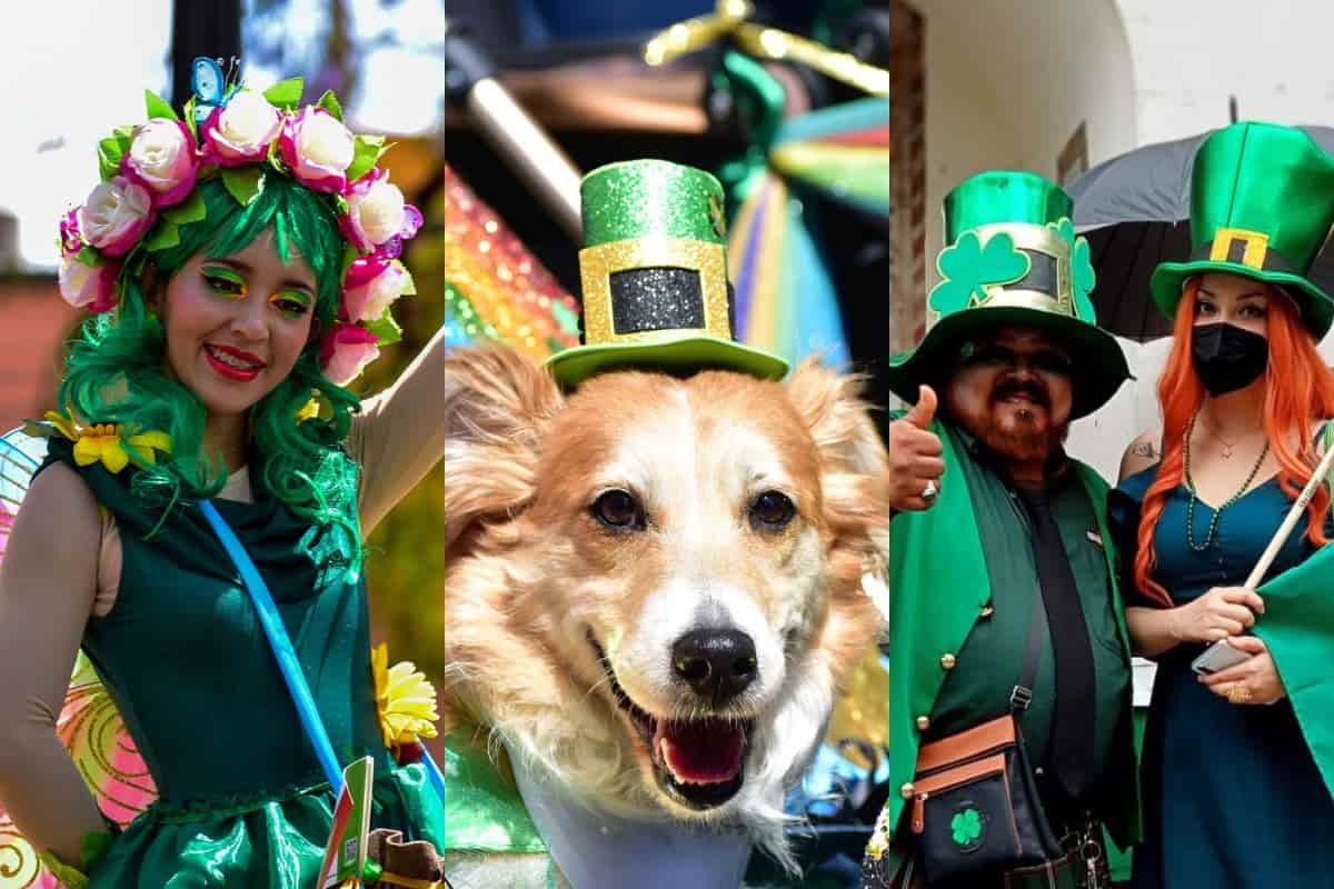 Fiesta Del Día De San Patricio
