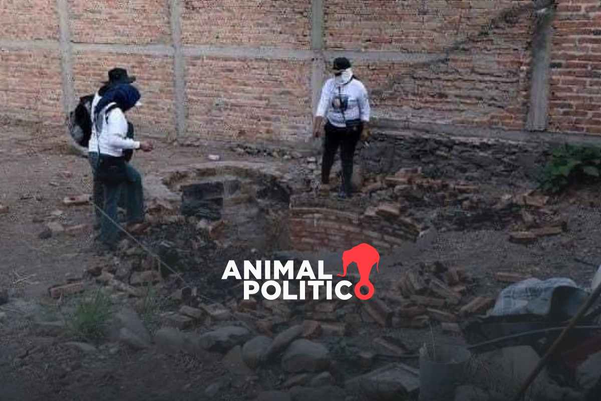 Colectivos localizan hornos y fosas clandestinas y 27 bolsas con segmentos humanos en El Salto ...
