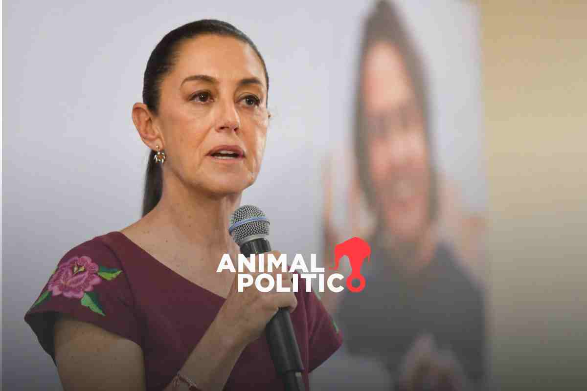 “Tiene que llegarse a las últimas consecuencias”, pide Sheinbaum sobre ...