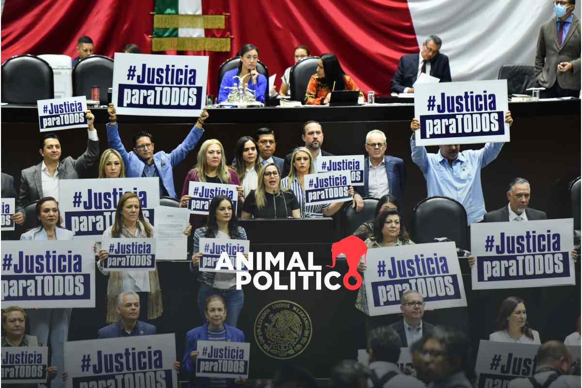 Diputados aprueban reformas a la leyes de Amparo y de Amnistía