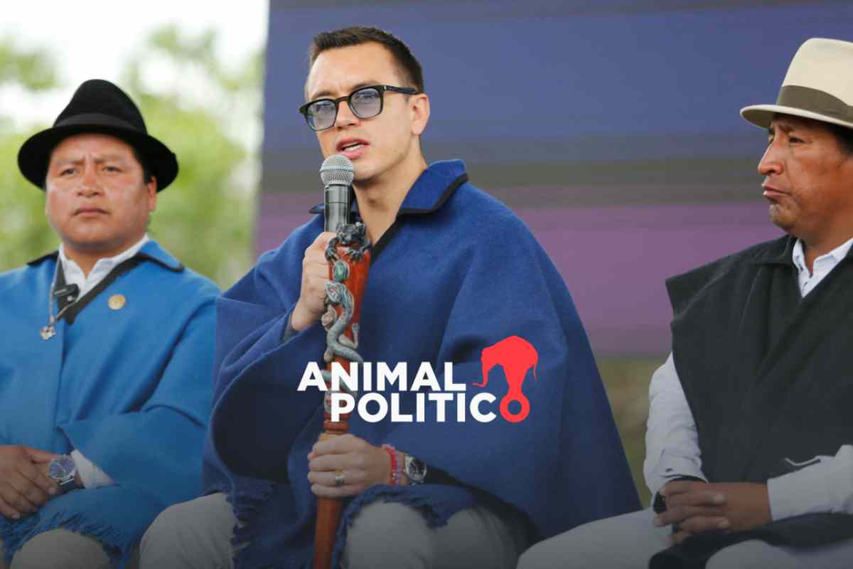 Presidente de Ecuador, Daniel Noboa, está dispuesto a resolver ...