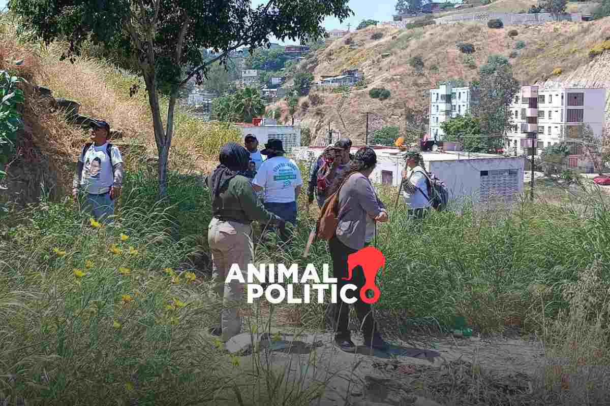 Colectivo localiza cinco osamentas y dos cráneos en fosa clandestina en Tijuana, Baja California