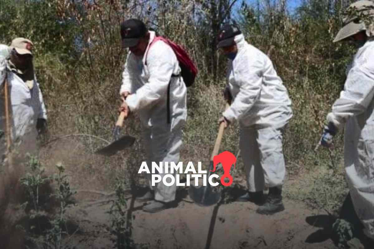 Localizan cinco fosas con ocho cuerpos en la frontera entre Veracruz y Oaxaca