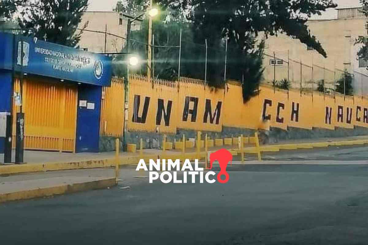 Muere estudiante afuera del CCH Naucalpan tras presunta riña entre “grupos porriles”, hay varios ...