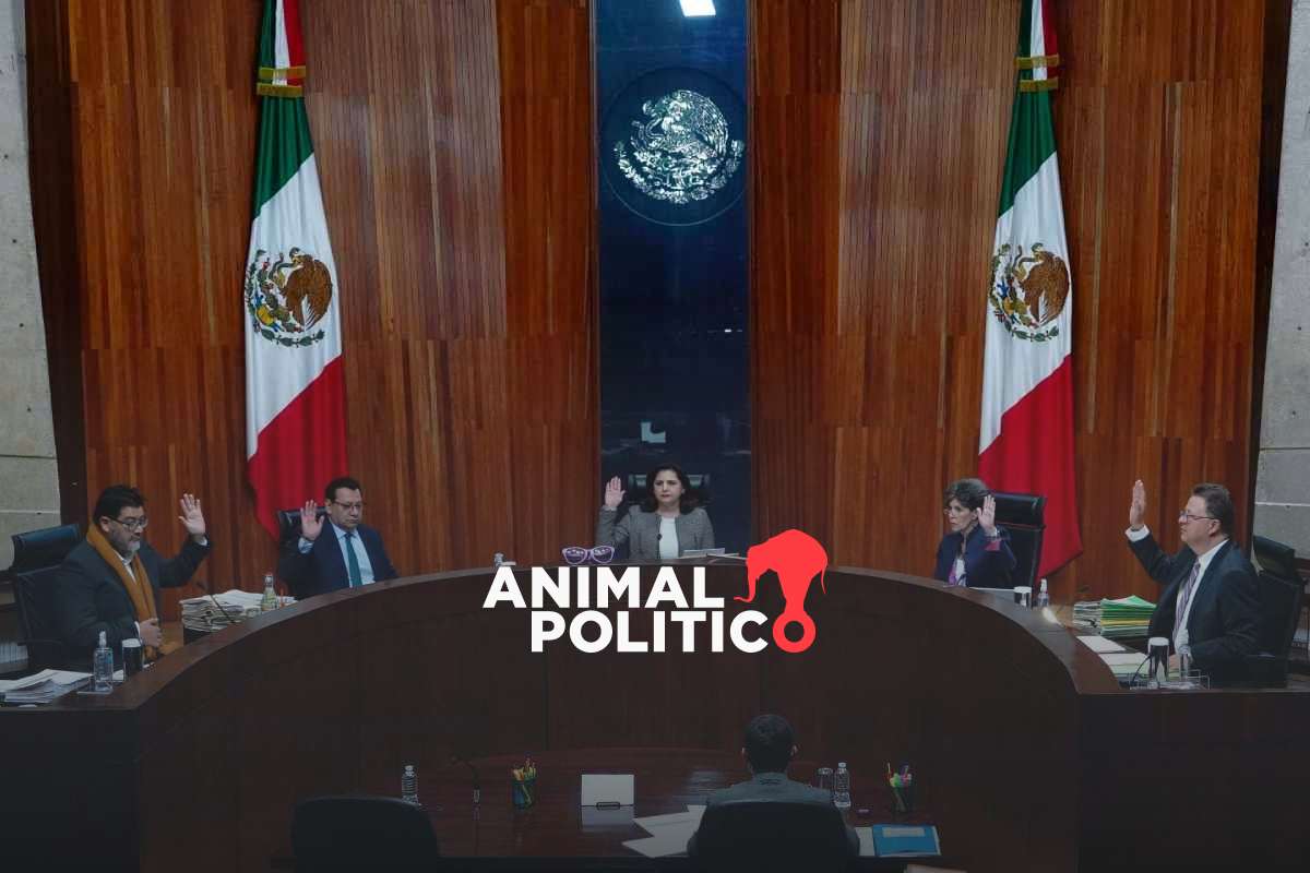 Tribunal Electoral dice estar listo para resolver impugnaciones tras elecciones; estima que ...