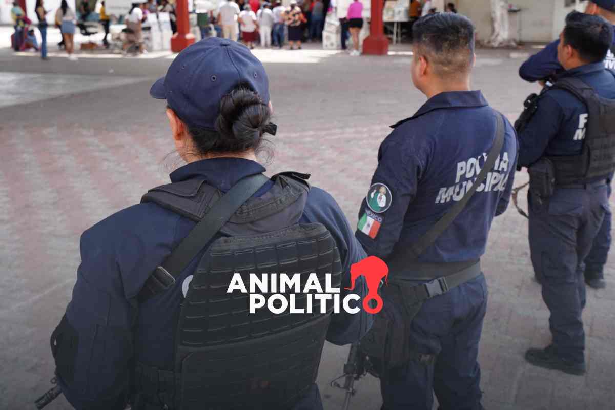 Tras el asesinato de la alcaldesa de Cotija, Michoacán, regidores y ...