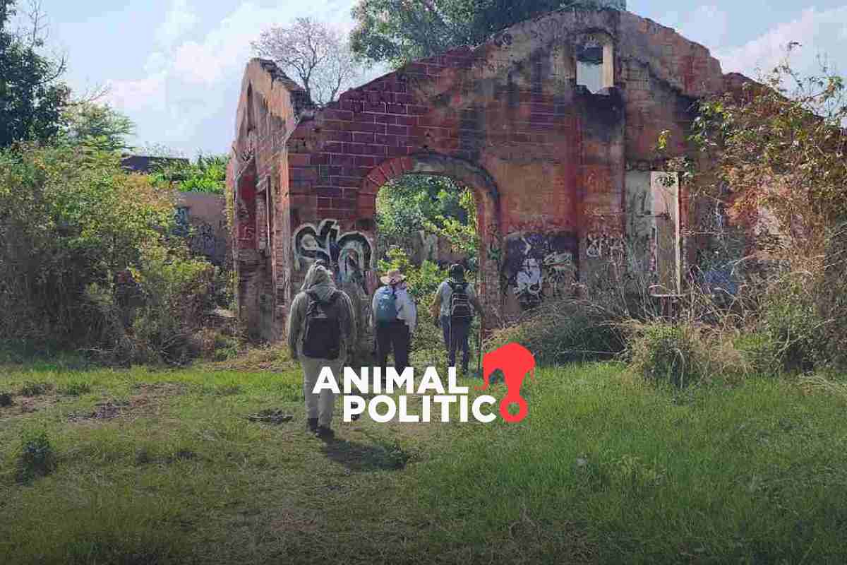 Tras cinco días de búsqueda, colectivos localizan fosas con 17 cuerpos en Jacona, Michoacán