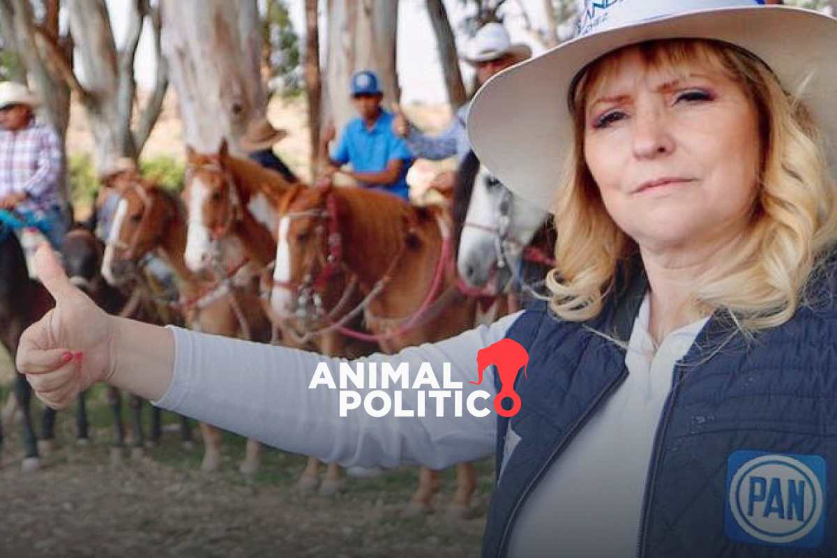 Alcaldesa de Cotija, Michoacán, Yolanda Sánchez Figueroa, muere en ...