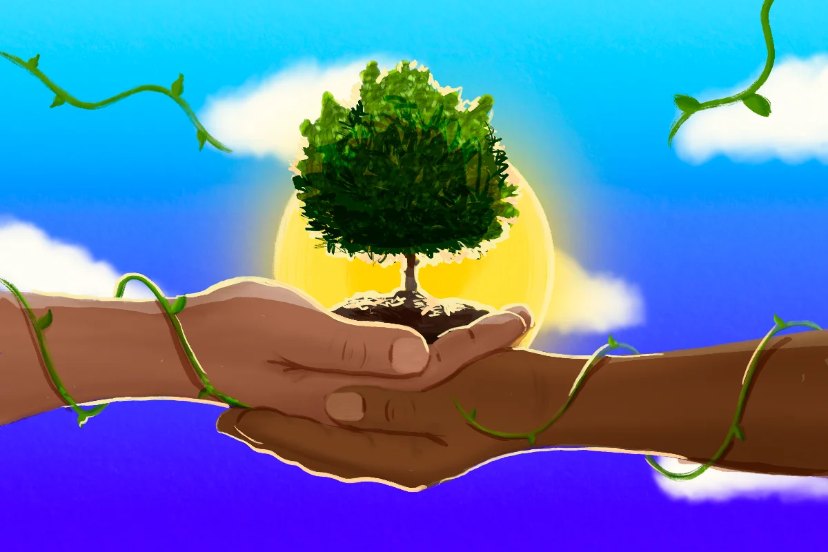 ¿Cómo reforestar con responsabilidad? Un llamado para recuperar la ...