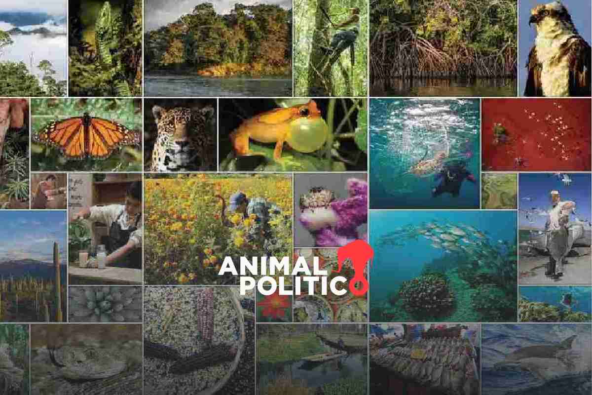 Denuncias por saqueo de plazas y perfiles inadecuados ponen en ...