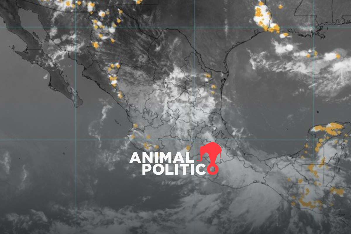 Huracán Beryl llegará a Jamaica el miércoles; Quintana Roo activa alerta verde y Yucatán ...