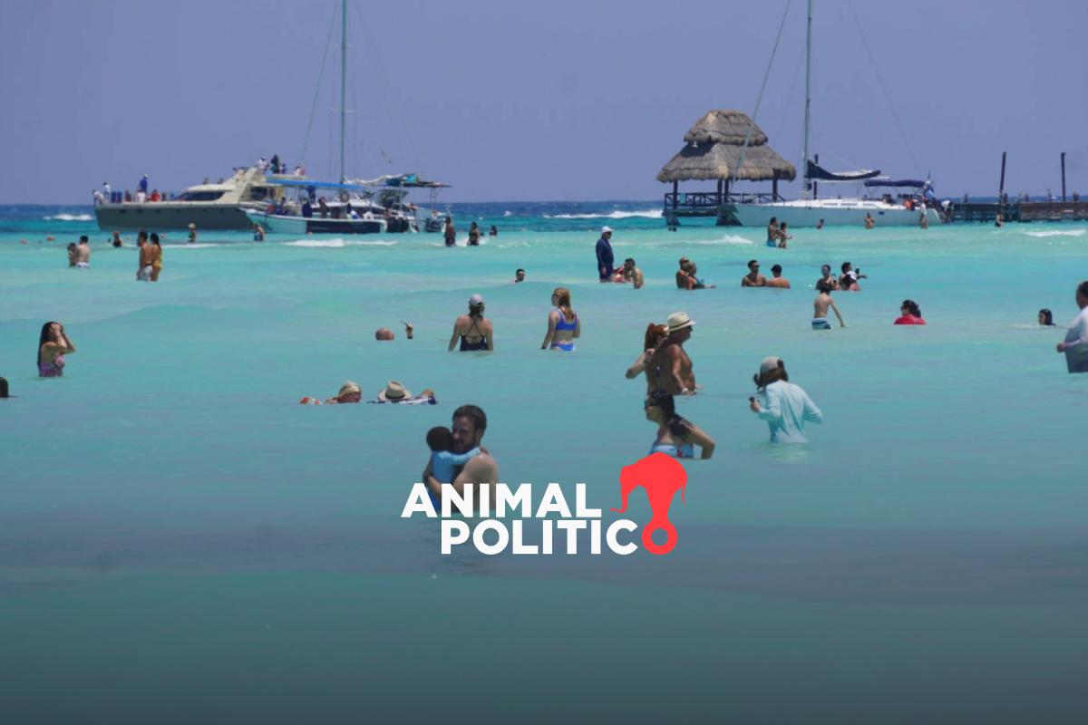 Vacaciones 2024: Cofepris alerta por estas 18 playas contaminadas en ...