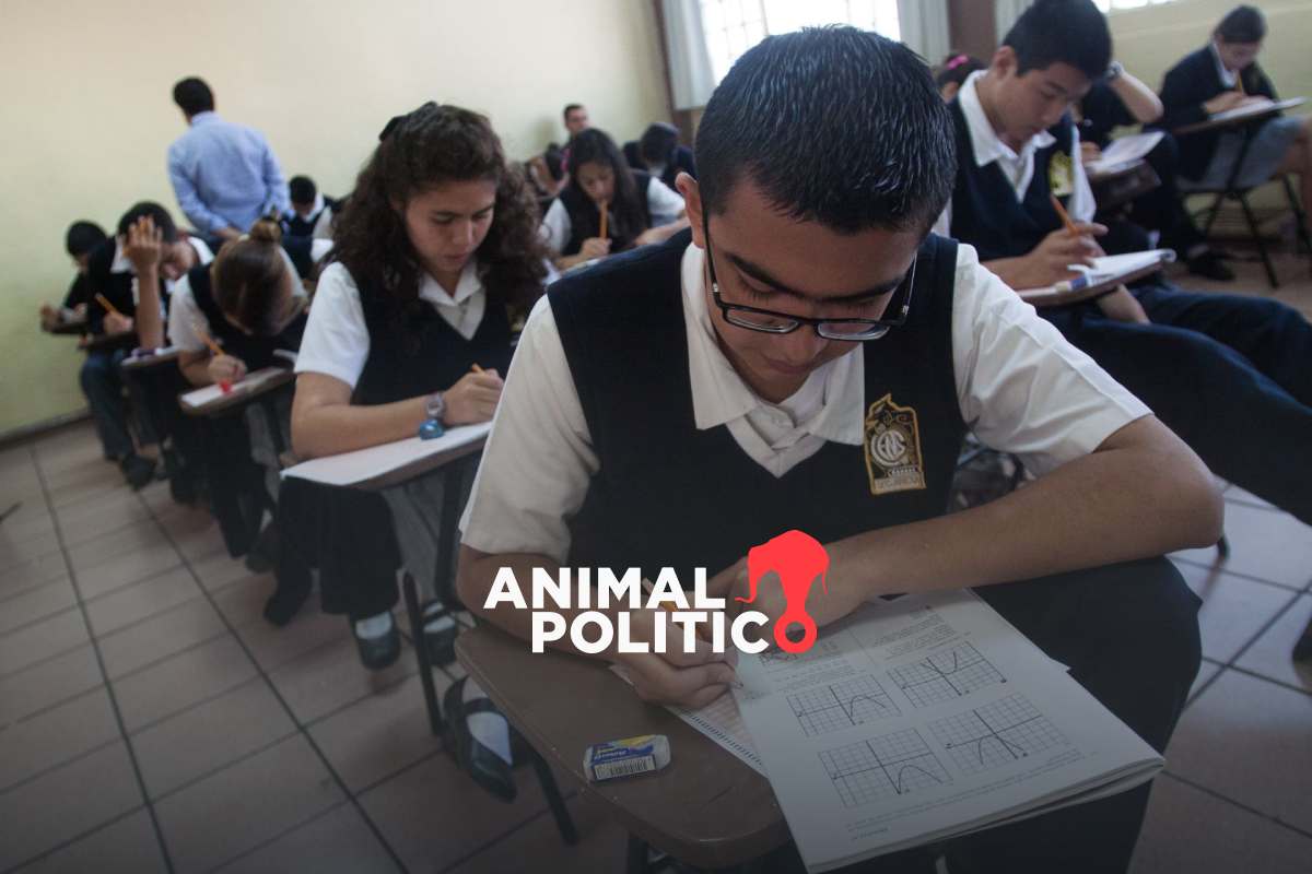 México sí participará en la prueba PISA 2025; CENEVAL aplicará la ...
