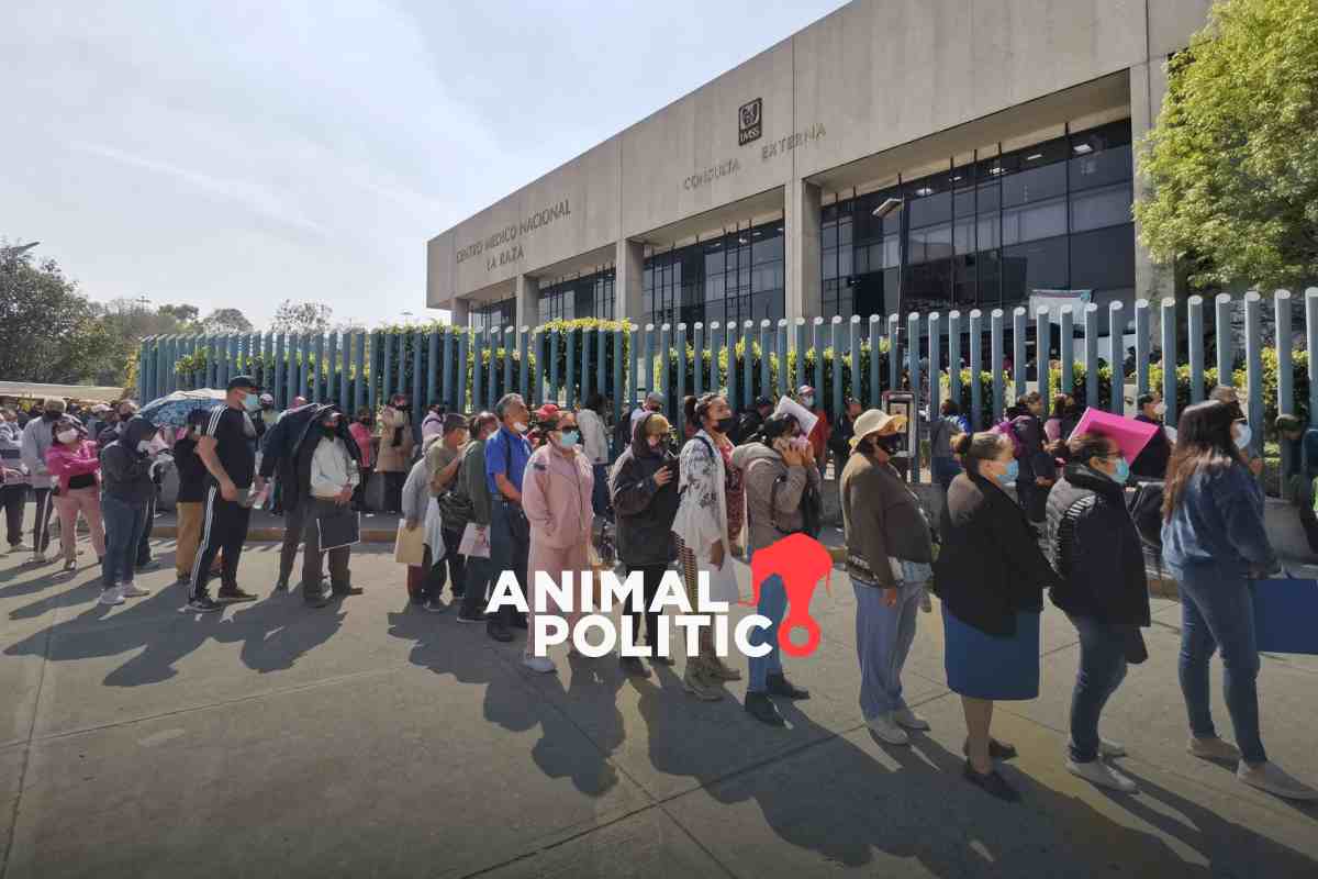 El IMSS suma 300 amparos de pacientes que demandan atención médica; 35 ...