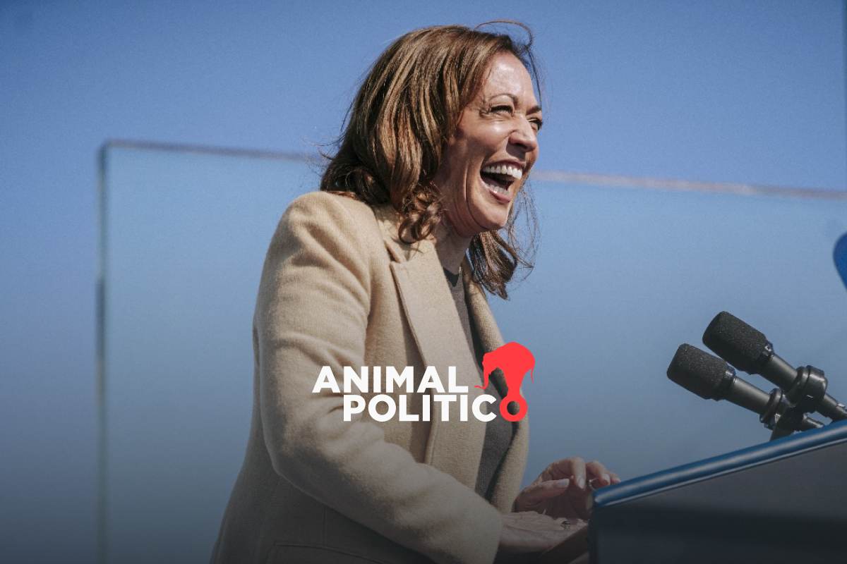 Kamala Harris promete ir contra el Cártel de Sinaloa si gana la ...