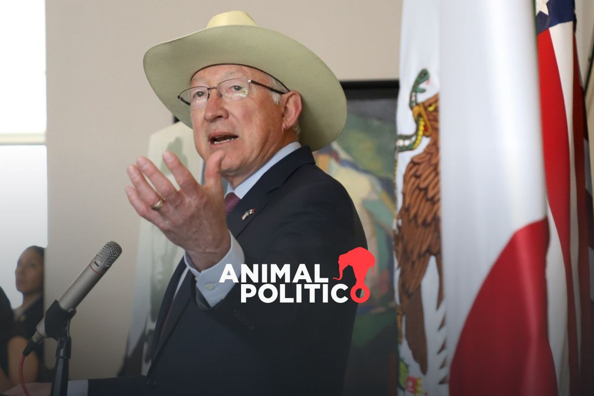 EU y México siguen trabajando pese a “pausa” de AMLO; embajador insiste ...