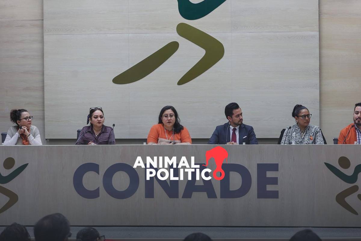 INAI ordena a la Conade entregar información detallada sobre becas a ...