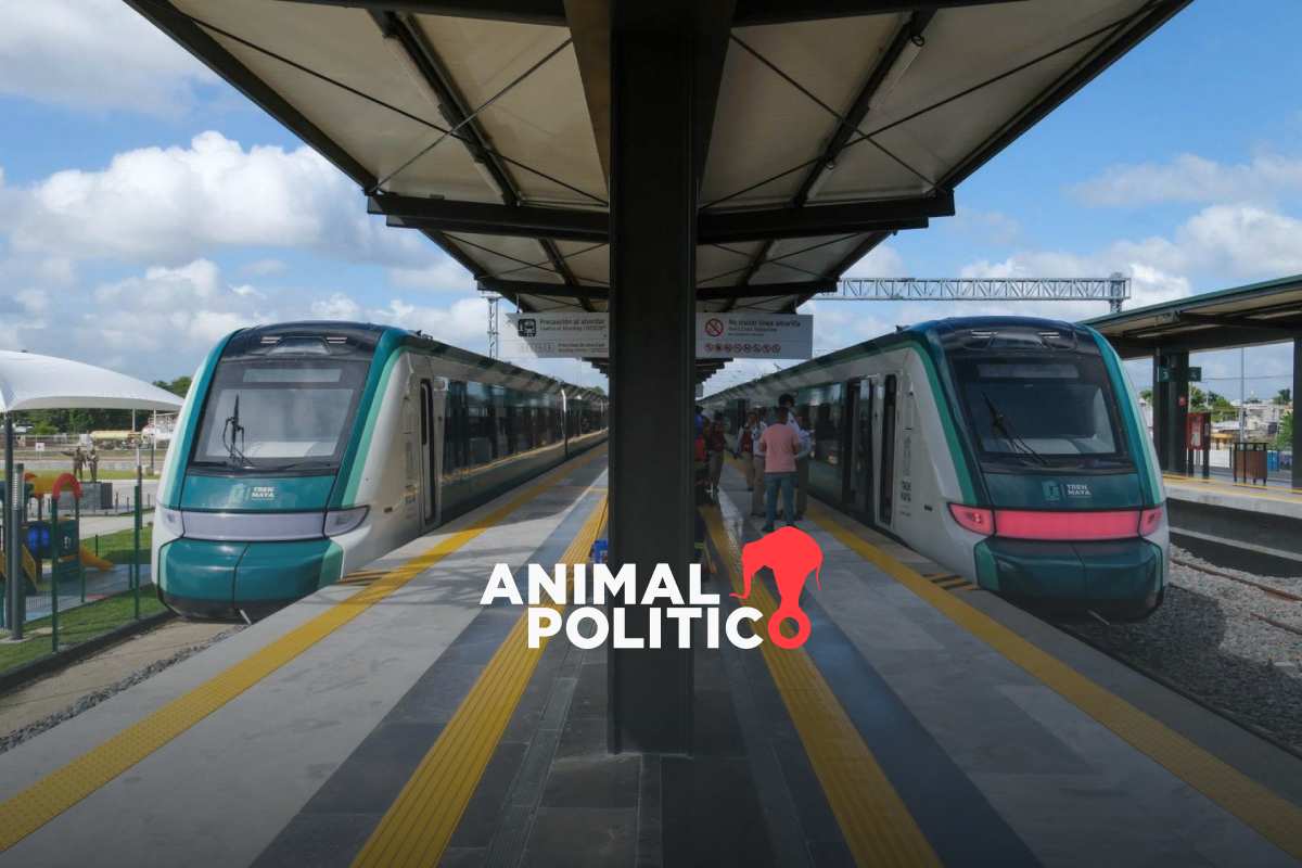 Nuevos trenes de pasajeros en México: en estas fechas iniciarán y terminarán la construcción de ...