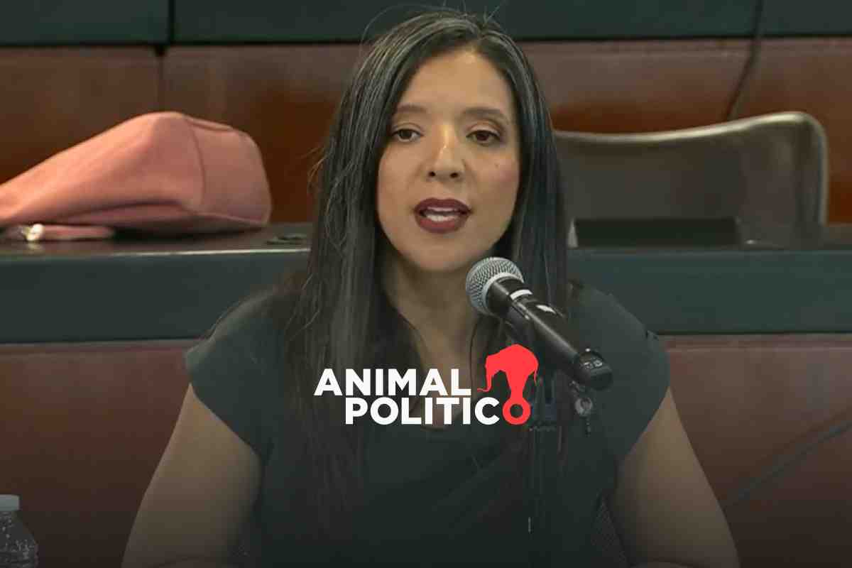 “Que el Senado reconsidere”: la activista Tania Ramírez, descartada de ...