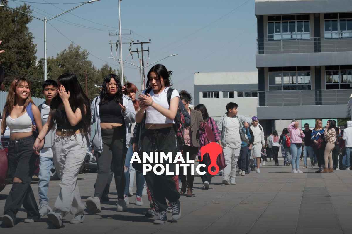 Universidad Rosario Castellanos abre convocatoria en Tijuana y Comitán para estudiar sin examen ...