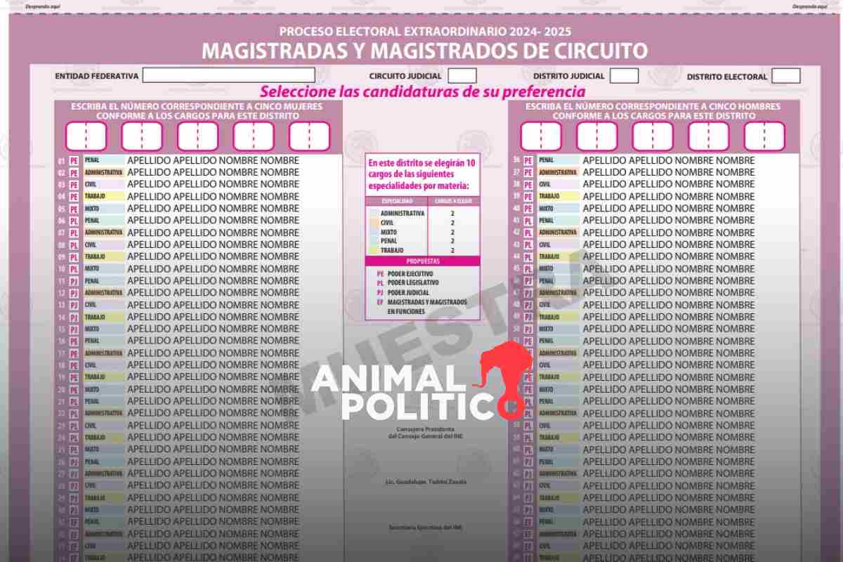 Ilegibles y confusas: el INE aprueba las boletas más complicadas de la historia, para la ...
