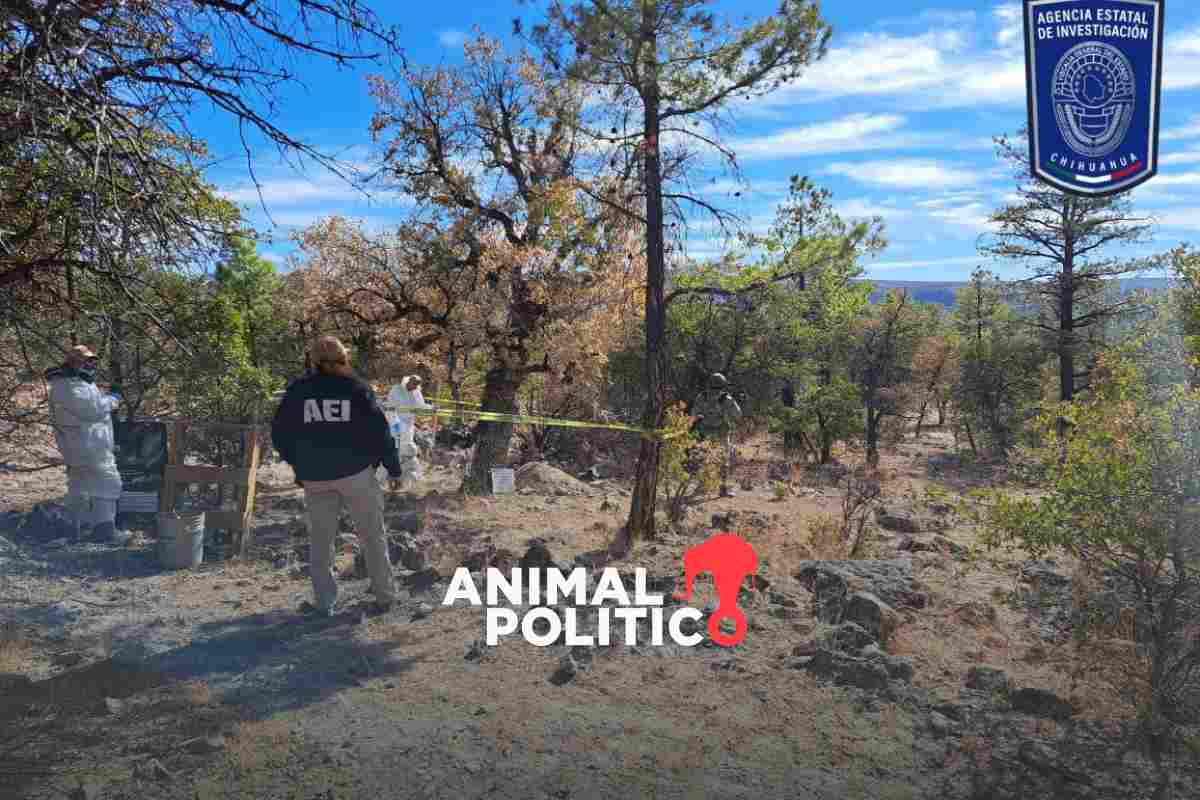 Suman 72 cuerpos hallados en fosas clandestinas en el noroeste de Chihuahua desde diciembre; 56 ...