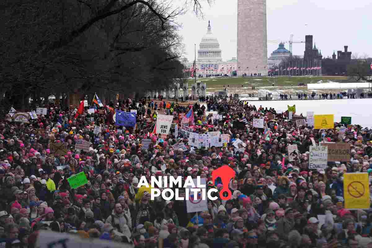 Marchan en EU contra las políticas de Donald Trump a dos días de ...