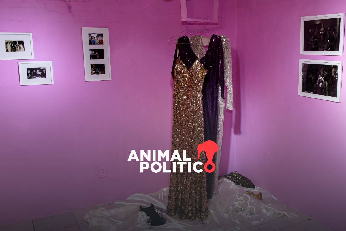 Museo de Arte Transfemenino: el espacio de CDMX que albergará la obra y ...