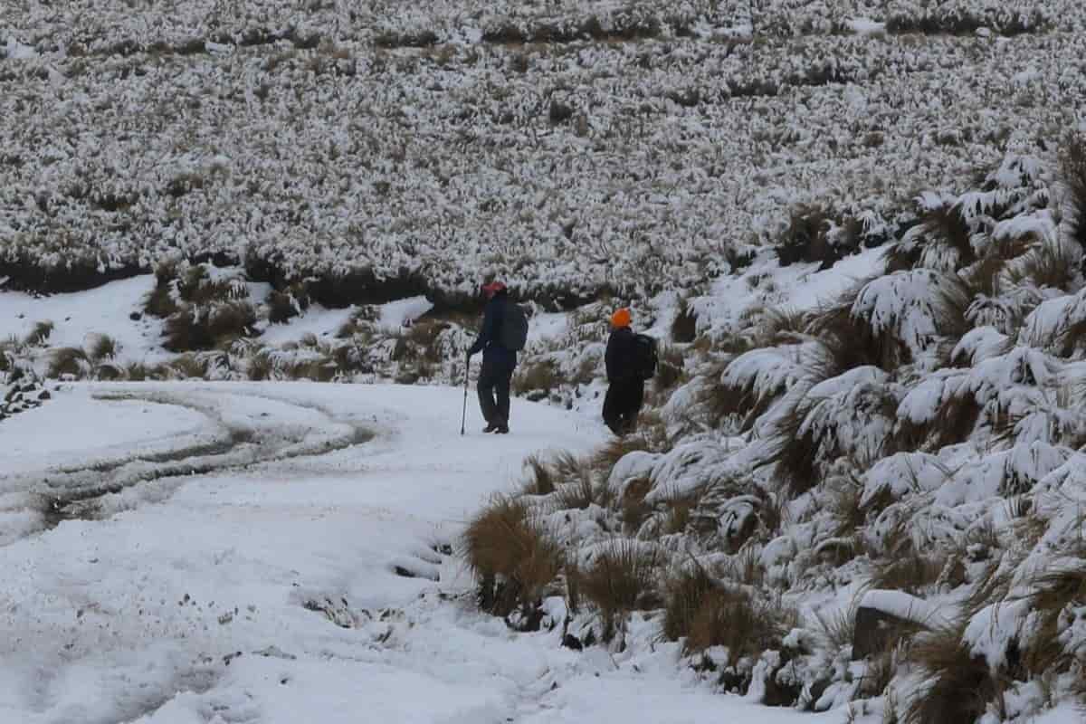 ¡Cancela la excursión! Cierran Nevado de Toluca temporalmente por el ...