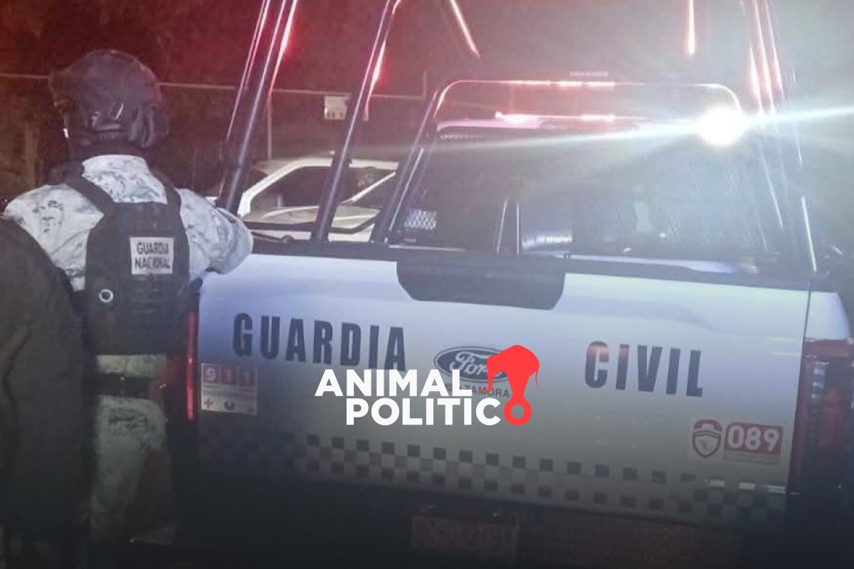 Ataque armado en un palenque clandestino en Tingambato, Michoacán, deja cuatro muertos