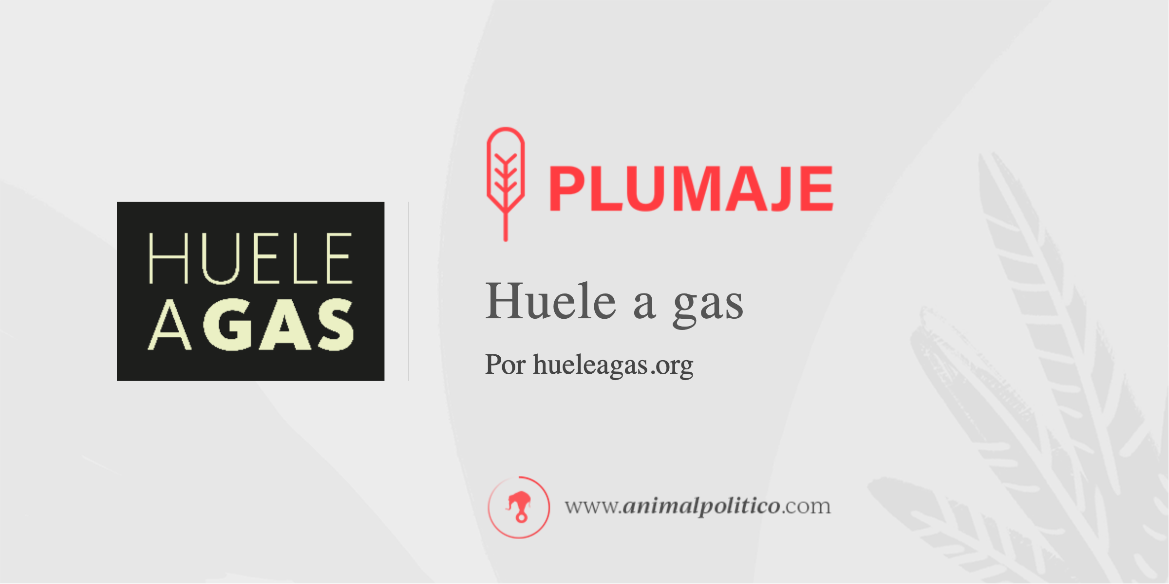 Si hay gas, NO hay acción climática
